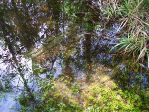 Deep Lake - Ghost Town