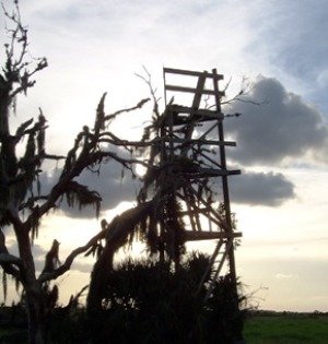 Prairie Ridge - Ghost Town