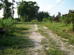 Sand Cut - Ghost Town