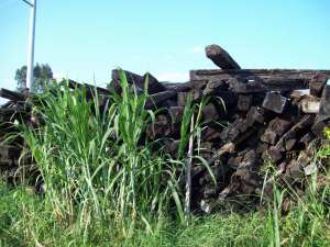 Sand Cut - Ghost Town